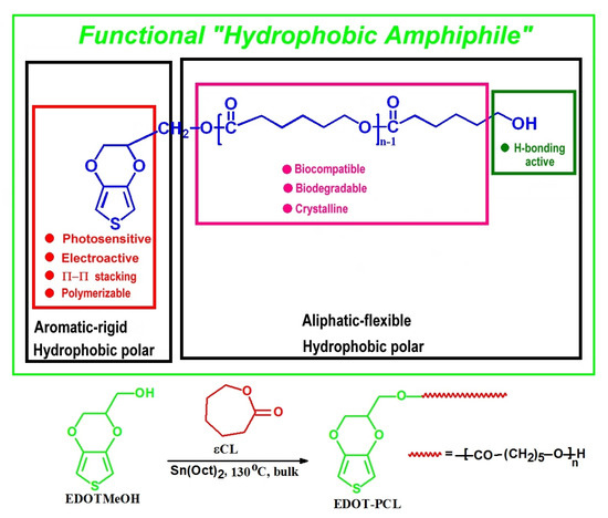 3,4-Ethylenedioxythiophene (EDOT) End-Group Functionalized Poly-ε ...