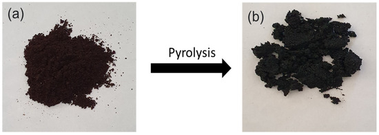 Preparation and Characterization of Eco-Friendly Spent Coffee/ENR50 ...