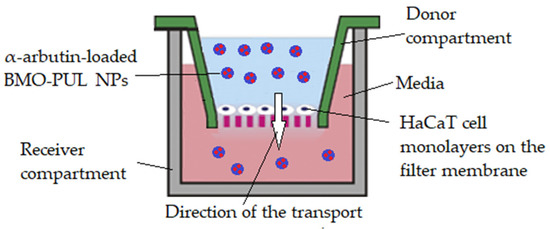 Hydrophobically Grafted Pullulan Nanocarriers for Percutaneous Delivery ...