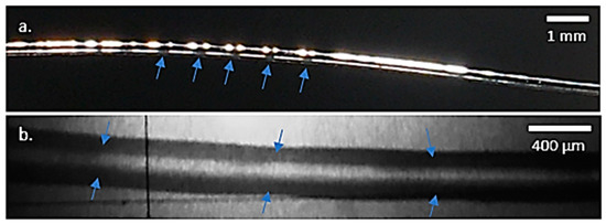 Polymers | Free Full-Text | Characterisation and Modelling of PLA ...