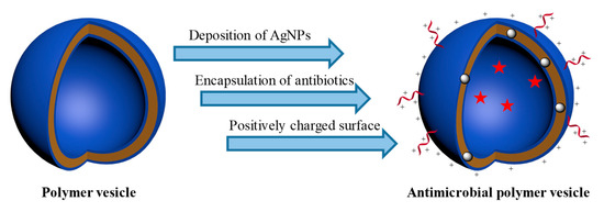 Polymer Vesicles for Antimicrobial Applications