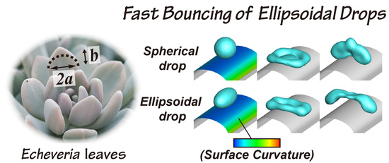 Polymers | Free Full-Text | Symmetry-Breaking Drop Bouncing on ...