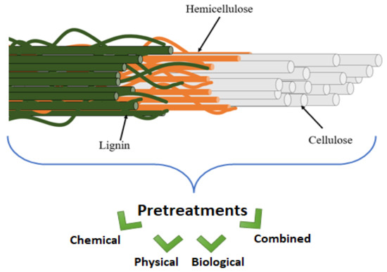 Polymers | Free Full-Text | Greener Pretreatment Approaches for the ...