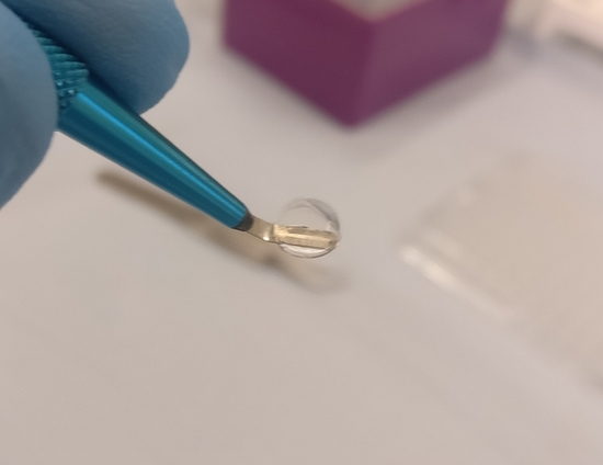 Polymers | Free Full-Text | High-Resolution Bioprinting of Recombinant ...