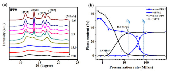 Polymers | Free Full-Text | Synergistic Effect of Pressurization Rate ...