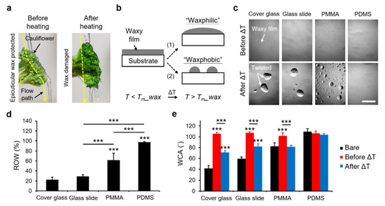 Biomimetic Wax Interfaces Facilitating Rehealable Polymer Composites