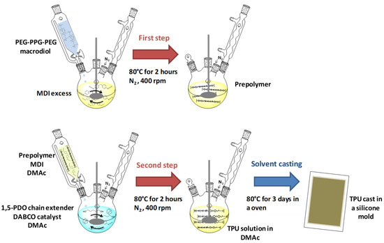 Effect of the Molecular Structure of TPU on the Cellular Structure of ...