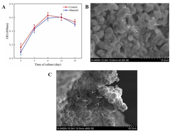 Polymers | Free Full-Text | Jawbones Scaffold Constructed by TGF-β1 and BMP-2 Loaded Chitosan ...