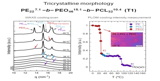 Polymers | Free Full-Text | Crystallization and Morphology of Triple ...
