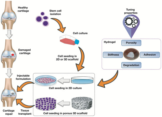 Tuning the Properties of PNIPAm-Based Hydrogel Scaffolds for Cartilage Tissue Engineering