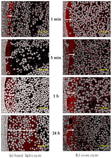 Effect of Interpenetrating Polymer Network (IPN) Thermoplastic Resin on ...