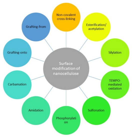 Surface Modified Nanocellulose and Its Reinforcement in Natural Rubber ...