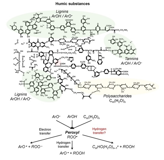 Polymers | Free Full-Text | A Systematic Study of the Antioxidant ...