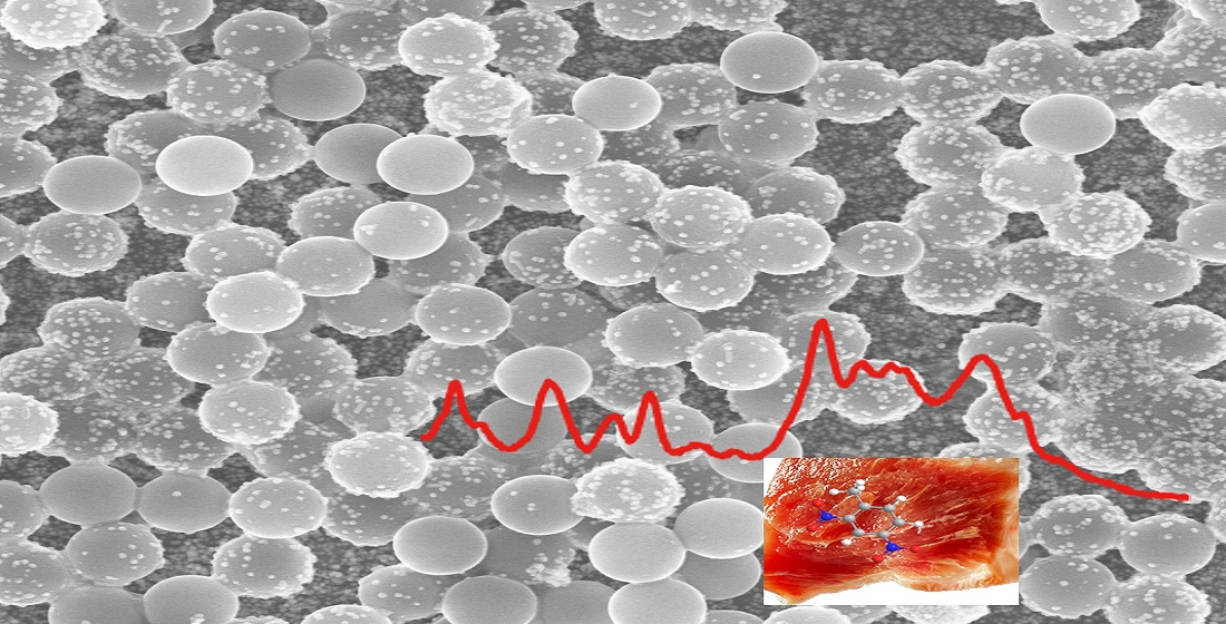 Polymers | Free Full-Text | Layer-by-Layer Assembly of Polystyrene/Ag ...