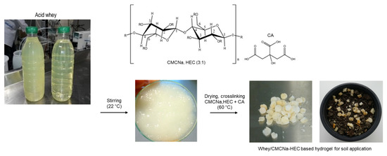 Polymers | Free Full-Text | Biopolymer Hydrogel Based on Acid Whey and ...