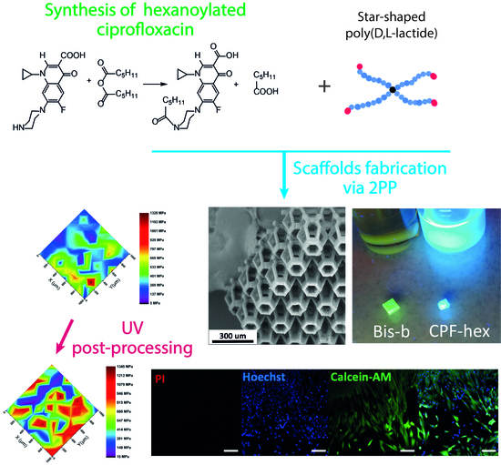 Polymers | Free Full-Text | A Hydrophobic Derivative of Ciprofloxacin ...