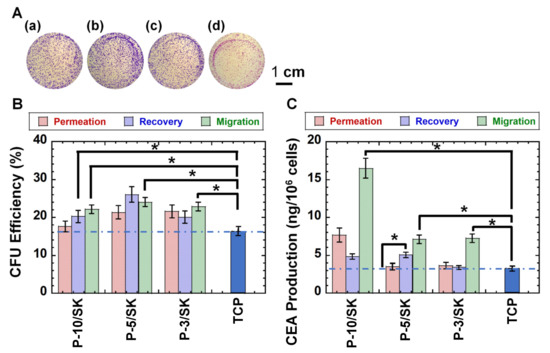 Polymers | Special Issue : Development and Characterization of Next ...