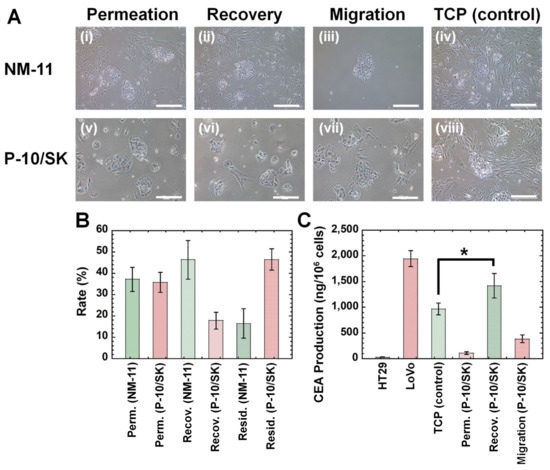 Polymers | Special Issue : Development and Characterization of Next ...