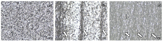 Crazing Effect on the Bio-Based Conducting Polymer Film