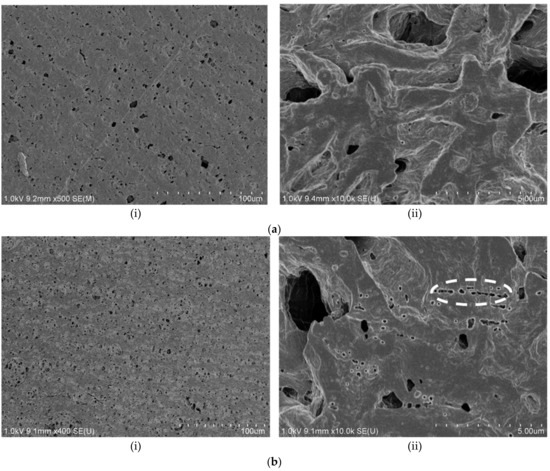 Crazing Effect on the Bio-Based Conducting Polymer Film