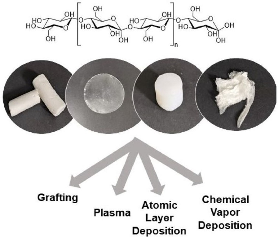 Polymers | Free Full-Text | Production and Surface Modification of ...
