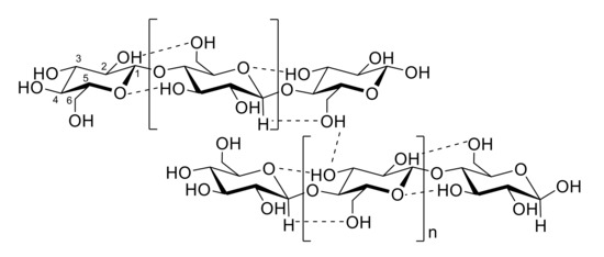 Production and Surface Modification of Cellulose Bioproducts