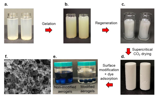 Polymers | Free Full-Text | Production and Surface Modification of ...