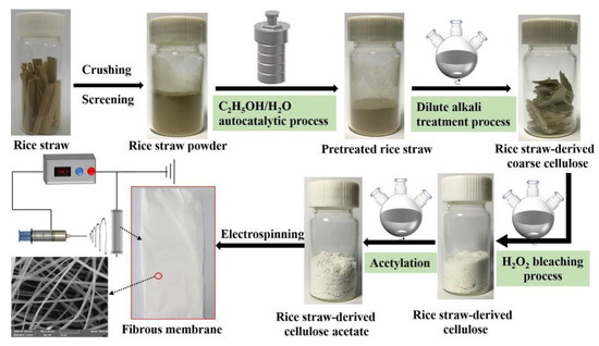 Investigation on the Preparation of Rice Straw-Derived Cellulose ...