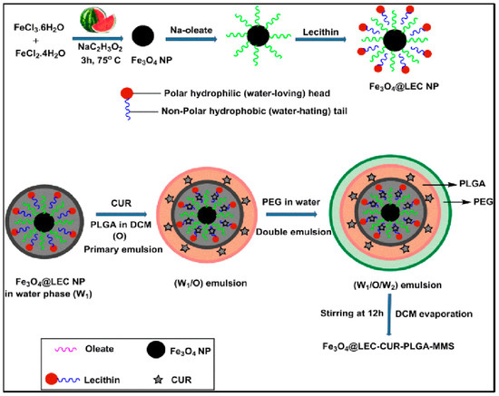 PLGA Core-Shell Nano/Microparticle Delivery System for Biomedical ...