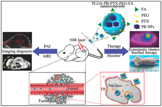 PLGA Core-Shell Nano/Microparticle Delivery System for Biomedical ...