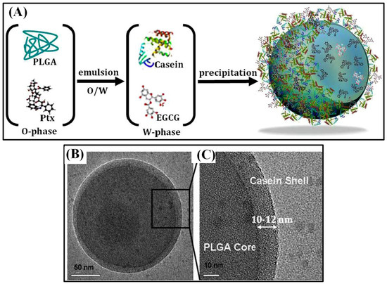 PLGA Core-Shell Nano/Microparticle Delivery System for Biomedical ...
