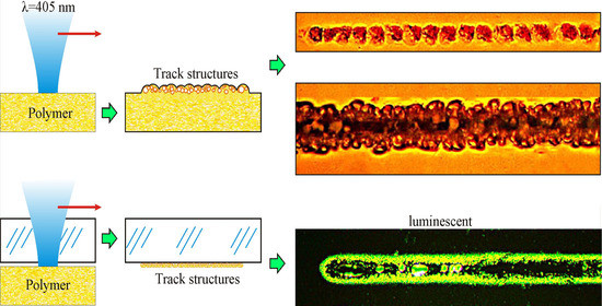 Polymers | Free Full-Text | Laser-Induced Microstructuring of Polymers ...