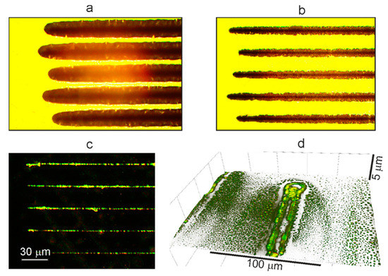 Laser-Induced Microstructuring of Polymers in Gaseous, Liquid and ...