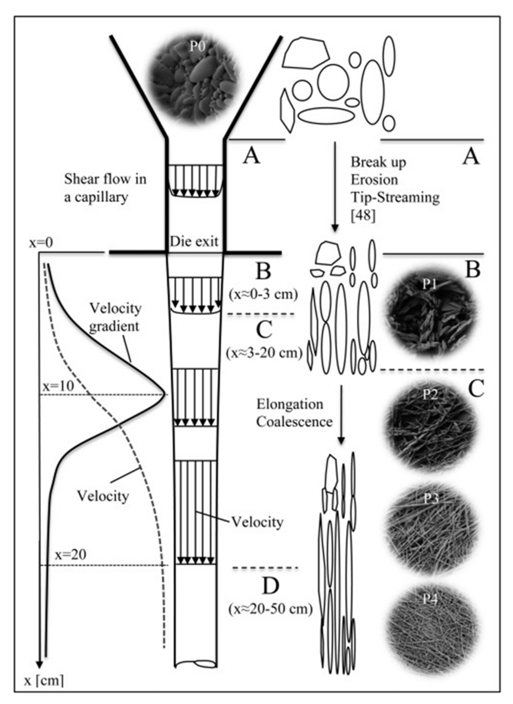 Polymers | Free Full-Text | Effect of the Elongational Flow on the Morphology and Properties of ...