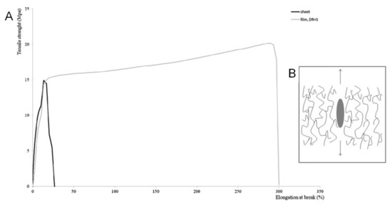 Polymers | Free Full-Text | Effect of the Elongational Flow on the ...