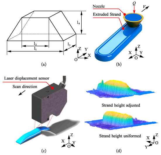 Strand-Morphology-Based Process Optimization for Extrusion-Based ...