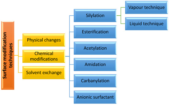 Waste Natural Polymers as Potential Fillers for Biodegradable Latex ...