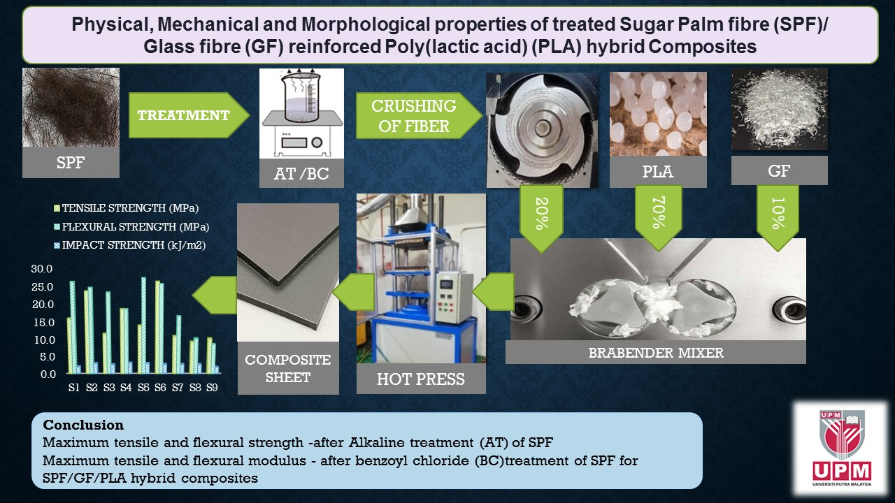 Polymers | Free Full-Text | Physical, Mechanical, and Morphological ...