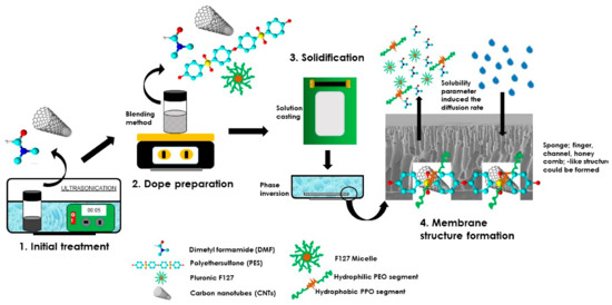 Ultrafiltration of α-Lactalbumin Protein: Acquaintance of the ...