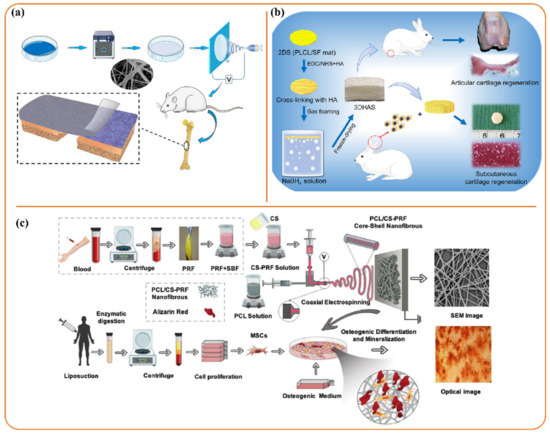 A Review on Electrospun Nanofibers Based Advanced Applications: From Health Care to Energy Devices