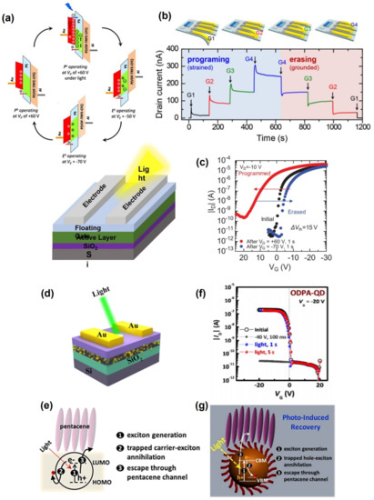 Contribution of Polymers to Electronic Memory Devices and Applications