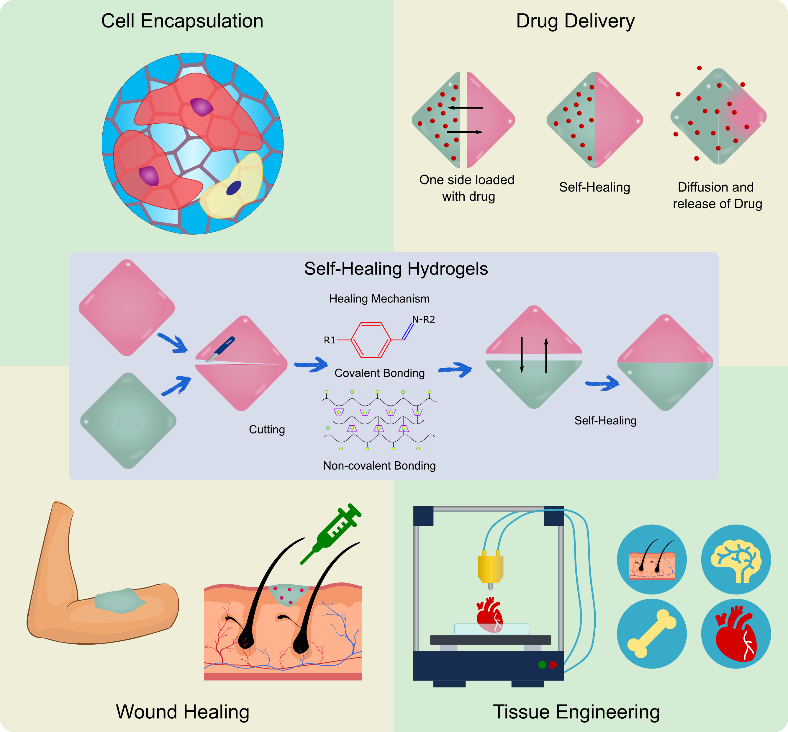 Polymers | Free Full-Text | Self-Healing Hydrogels: Preparation ...
