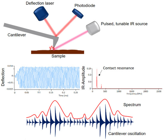 Miscibility and Phase Separation in PMMA/SAN Blends Investigated by ...