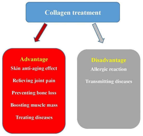 Polymers | Free Full-Text | A Review of the Effects of Collagen ...
