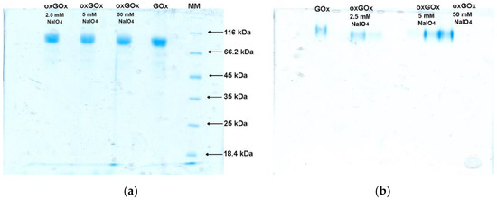 Chemical Modification of Glycoproteins’ Carbohydrate Moiety as a ...