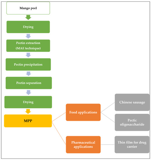 Mango Peel Pectin: Recovery, Functionality and Sustainable Uses