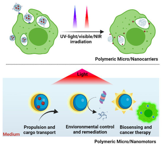 Polymers | Free Full-Text | Polymeric Micro/Nanocarriers and Motors for ...