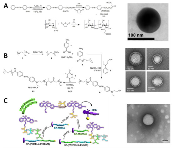 Polymeric Micro/Nanocarriers and Motors for Cargo Transport and ...