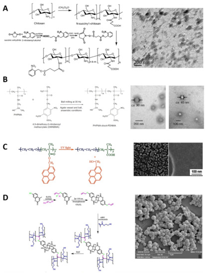 Polymeric Micro/Nanocarriers and Motors for Cargo Transport and ...