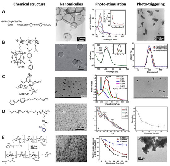 Polymeric Micro/Nanocarriers and Motors for Cargo Transport and ...